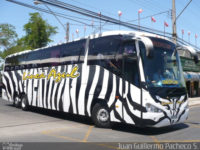Buses Linea Azul zebra em por Juan Guillermo Pacheco S. - ID:948494 ...